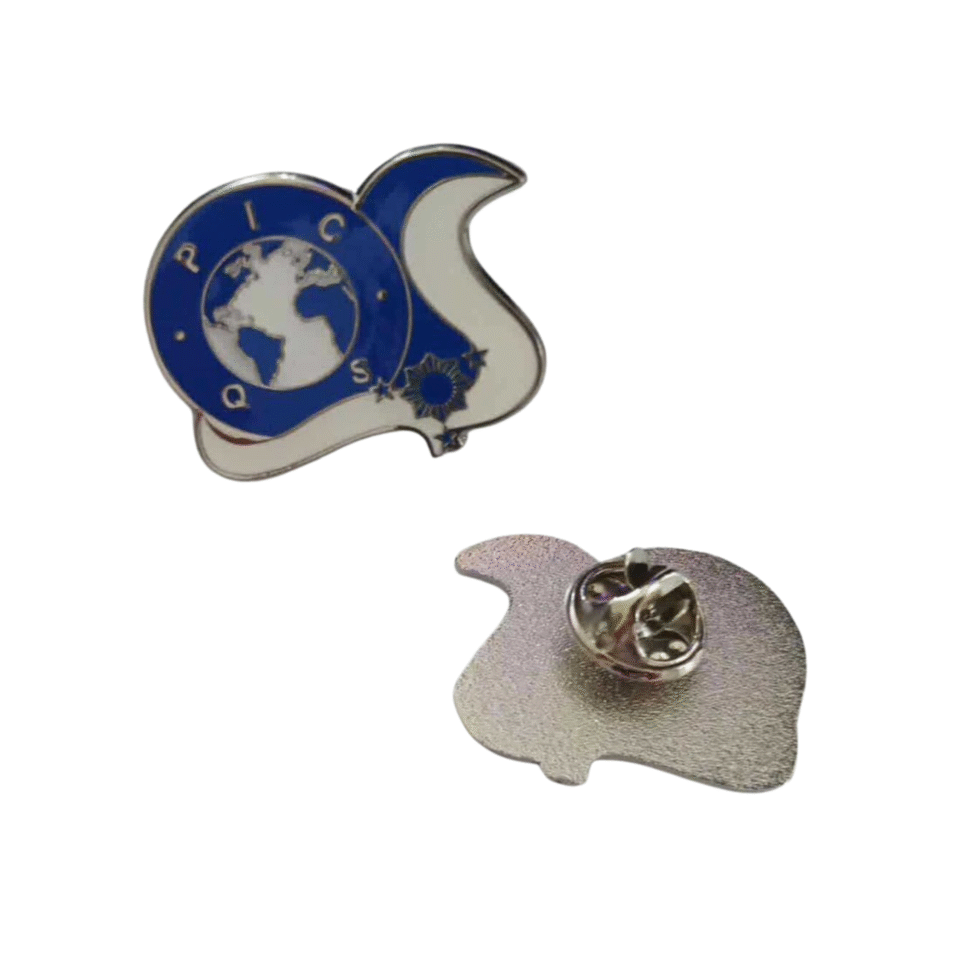 PICQS Pins - PICQS